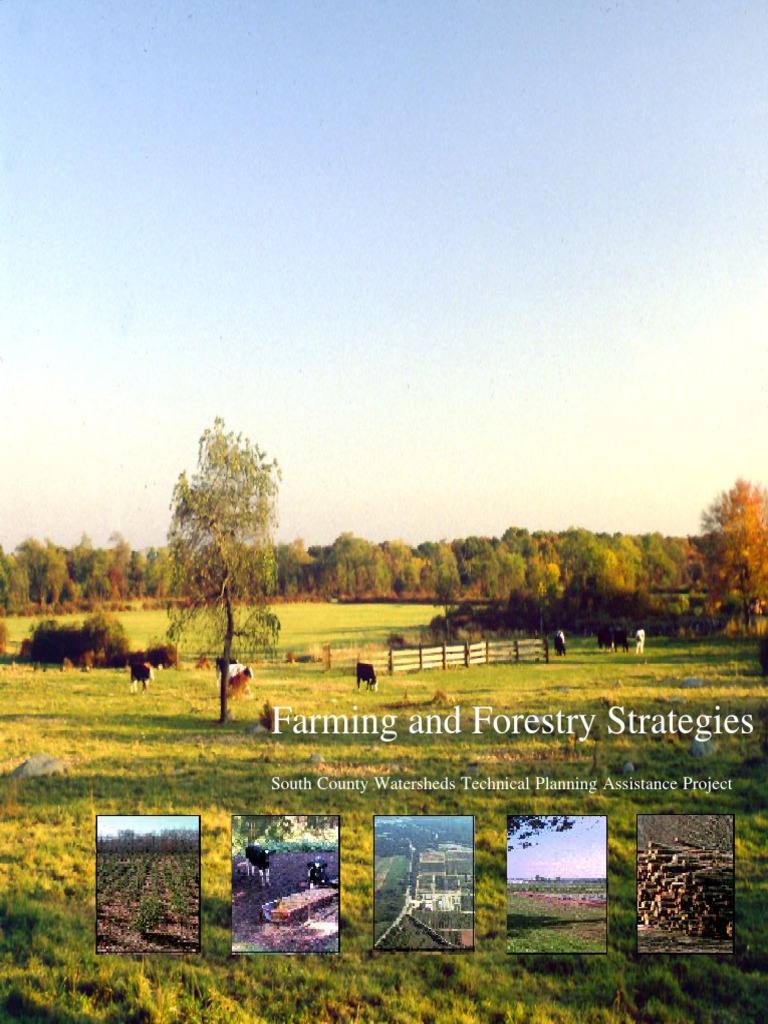 Farming Forestry Strategy | PDF | Zoning | Forestry