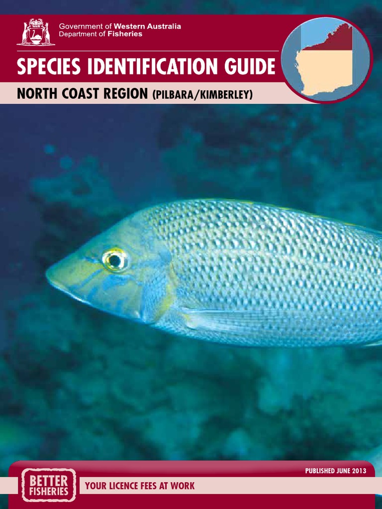 Species Identification Guide (North Coast Region) | PDF | Coral Reef ...