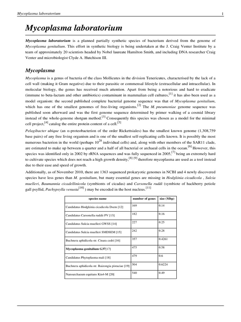 Mycoplasma Laboratorium: Synthetic Bacterium | PDF | Molecular Biology ...