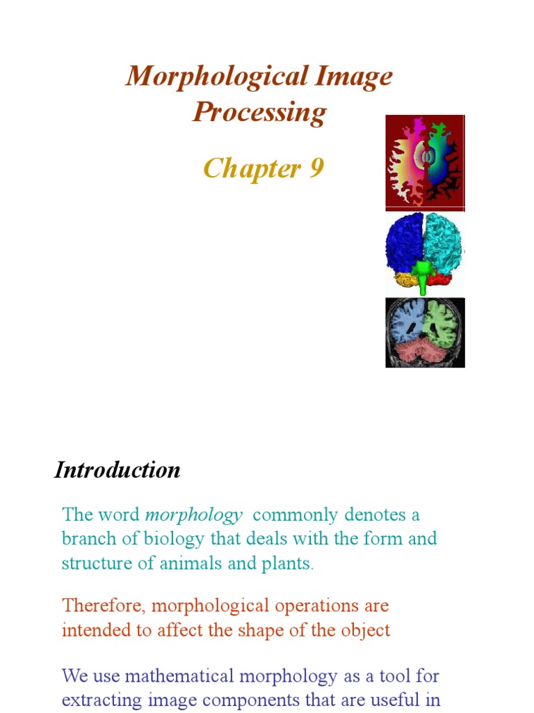 Ch9 - Morphological Image Processing | PDF | Image Segmentation | Areas ...