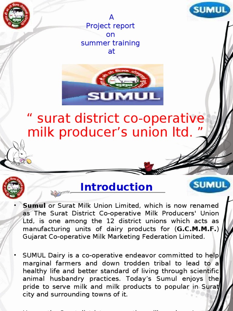 Sumul | Download Free PDF | Working Capital | Dairy