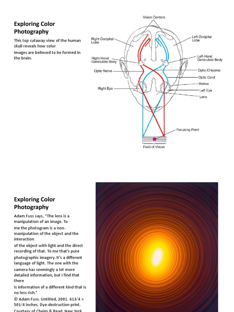 Exploring Color Photography | PDF | Color | Communication Design
