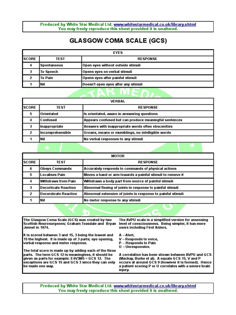 Gcs Chart | PDF | Nervous System | Metaphysics Of Mind