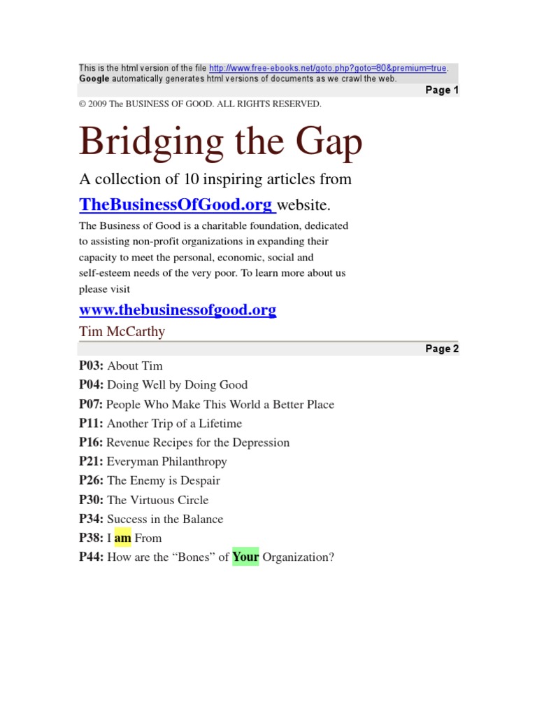 Bridging The Gaps | PDF | Economies | Business