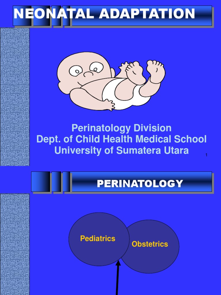 Neonatal Adaptation - GDS-K3.1 Lalalal | PDF | Fetus | Circulatory System