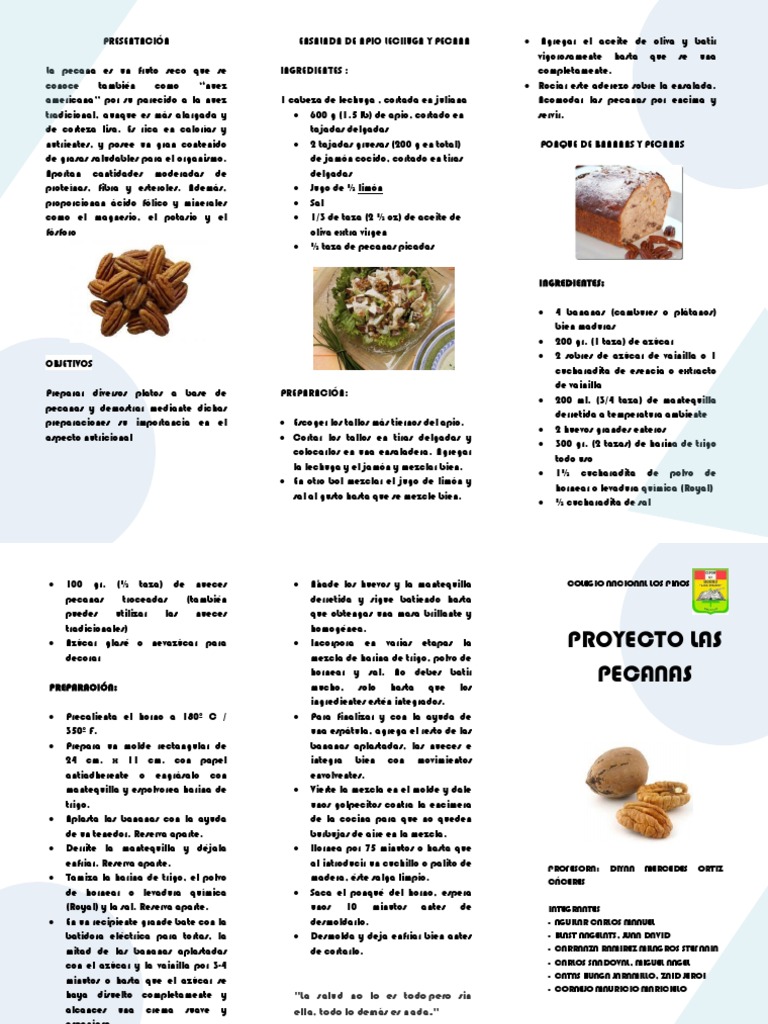 TRIPTICO PECANAS 1 | ensalada | Trigo