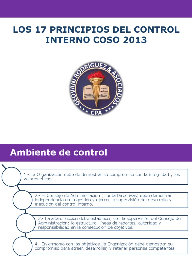 17 Principios Del Control Interno Coso 2013 | Contador | Información