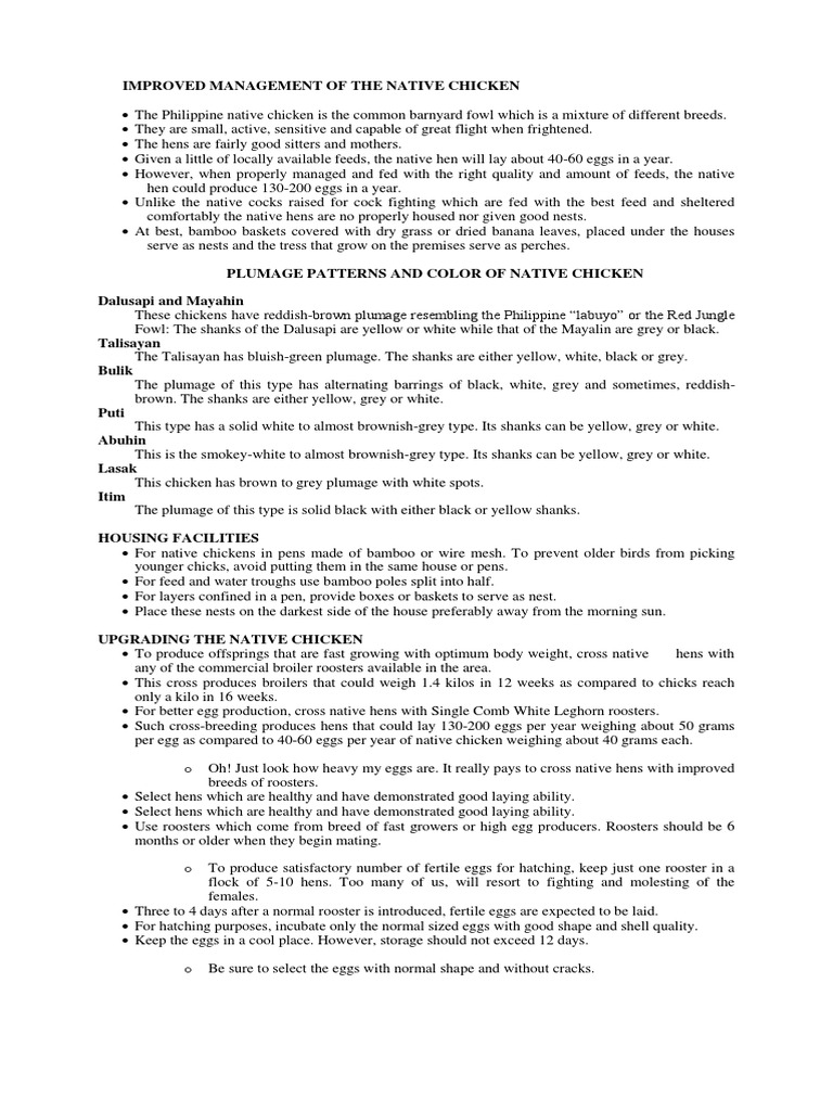 Improved Management of The Native Chicken | PDF