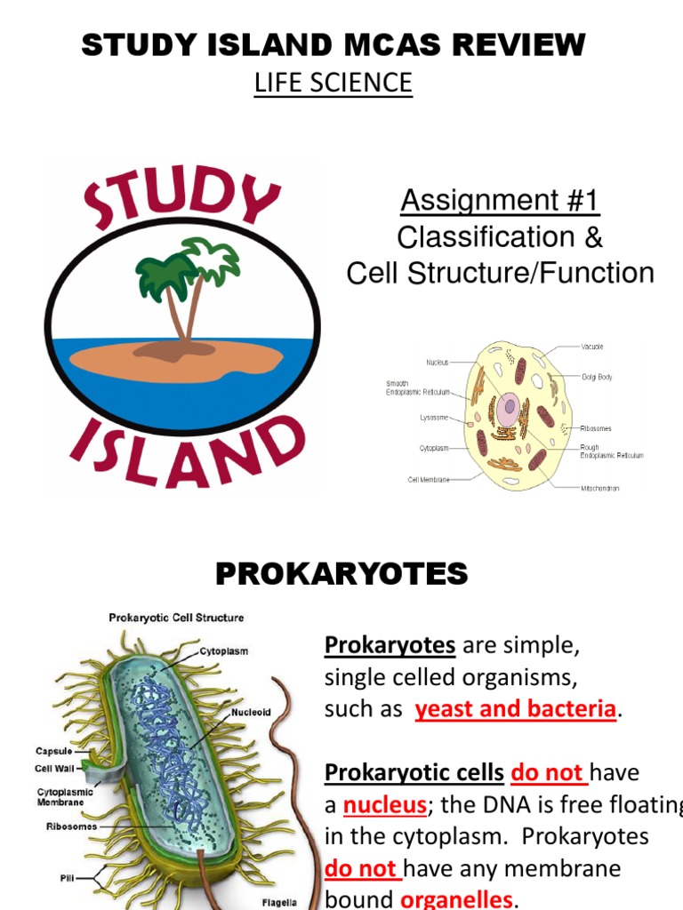 MCAS Life Science Review Guide | PDF | Eukaryotes | Organelle
