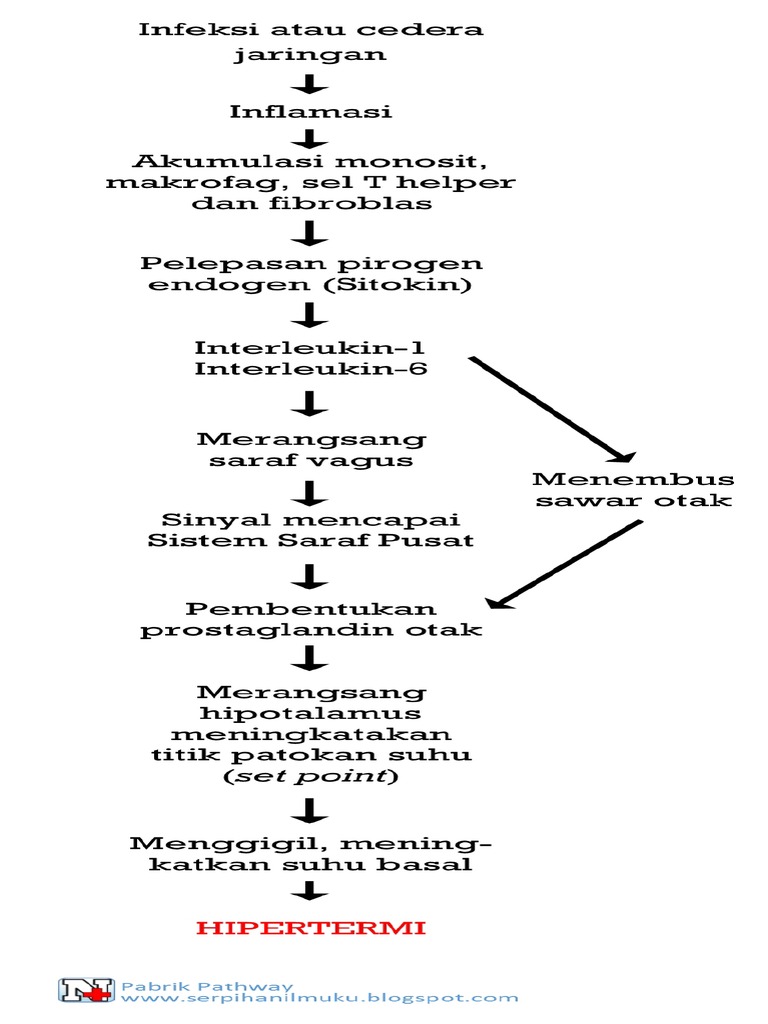 Pathway Demam (Hipertermi) - Pabrik Pathway | PDF