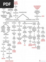 Pathway BPH (Benigna Prostat Hiperplasia) - Pabrik Pathway | PDF
