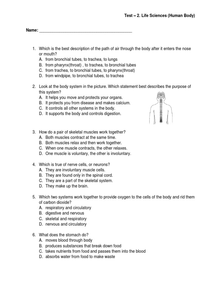 The Pathway of Air Through the Body: A Multiple Choice Test on the ...