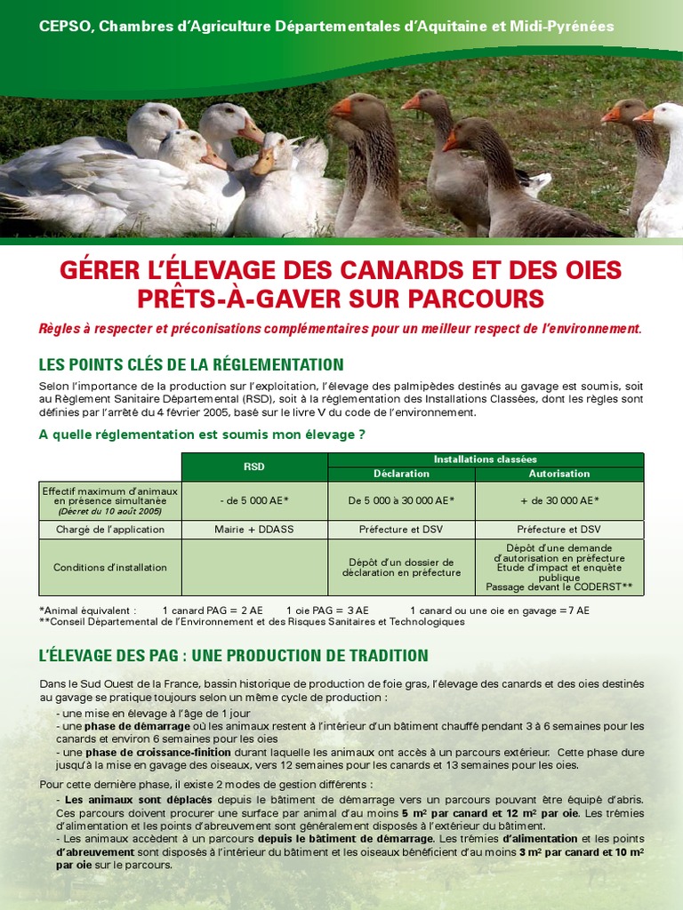 Elevage de Canard | Rotation culturale | Agriculture