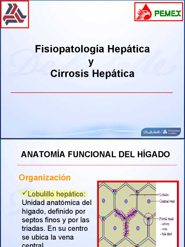 Fisiopatología Hepática y Cirrosis Hepática