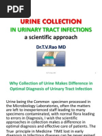 Sterile Urine Specimen Collection Guide | PDF | Urine | Infection