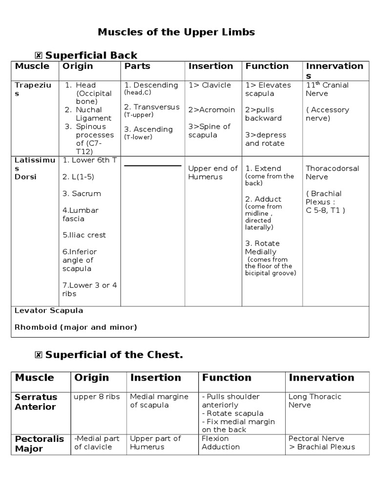 Muscles of The Upper Limbs | PDF | Finger | Thumb