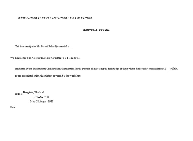 ICAO Workshop Certificate for Basuki Rahardjo | PDF