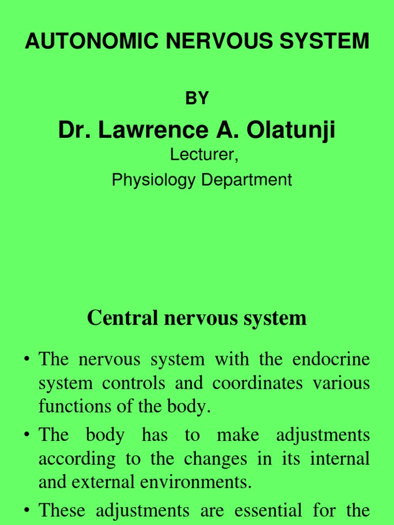 The Autonomic Nervous System: A Comprehensive Review of its Functions ...