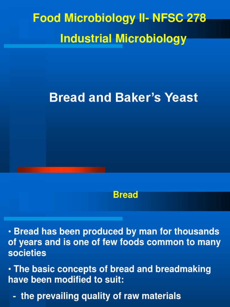 Bread and Bakers Yeast | PDF | Breads | Dough