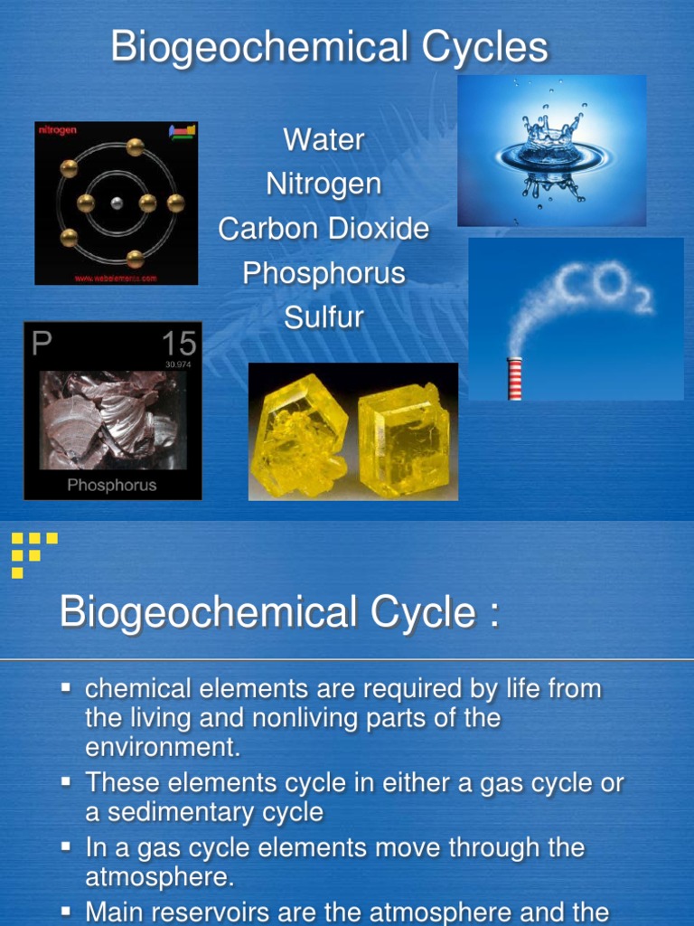 Biogeochemical Cycles: Water, Nitrogen, Carbon, Phosphorus & Sulfur ...