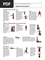 Upper Body Thera-Band Exercise Guide | PDF | Elbow | Arm