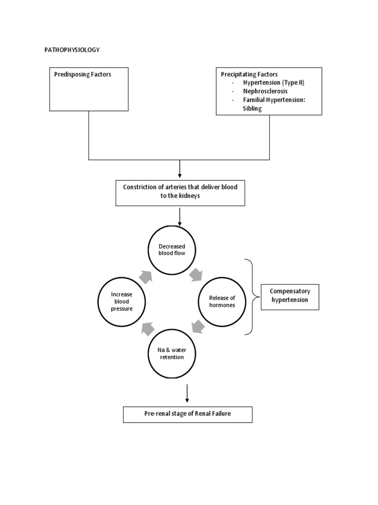 Hypertensive Nephrosclerosis Pathophysiology | PDF | Science & Mathematics