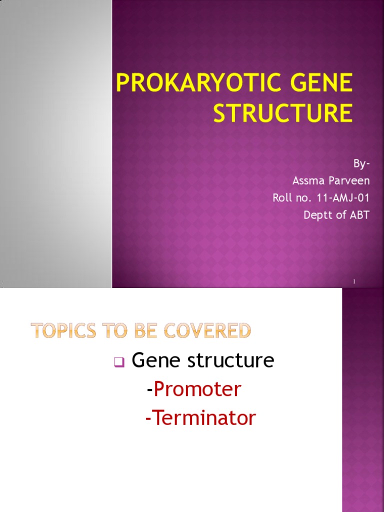 Prokaryotic Gene Structure Overview | PDF