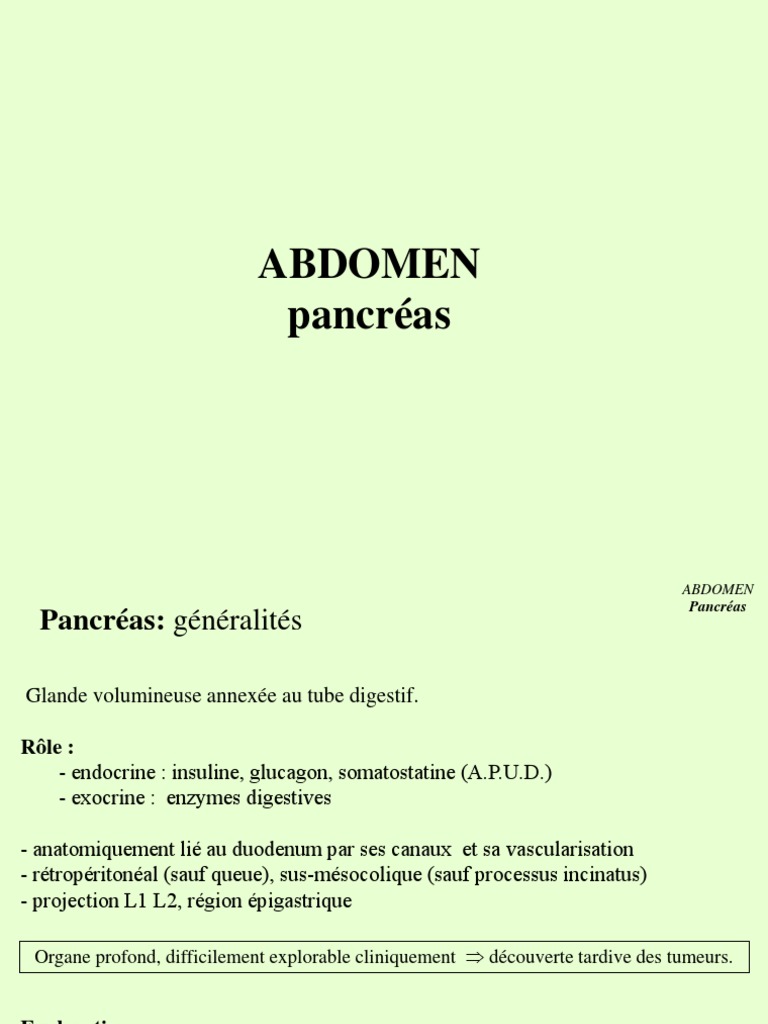 Anatomie Pancreas | PDF | Pancréas | Péritoine