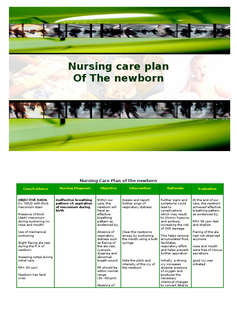 Nursing Care Plan of The Newborn | PDF | Infection | Breathing