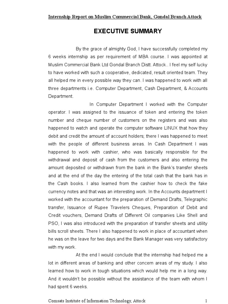 Executive Summary: Internship Report On Muslim Commercial Bank, Gondal ...