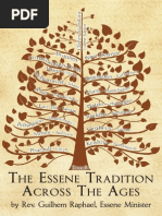 Gnostic & Essene Insights | PDF | Gospels | Bible