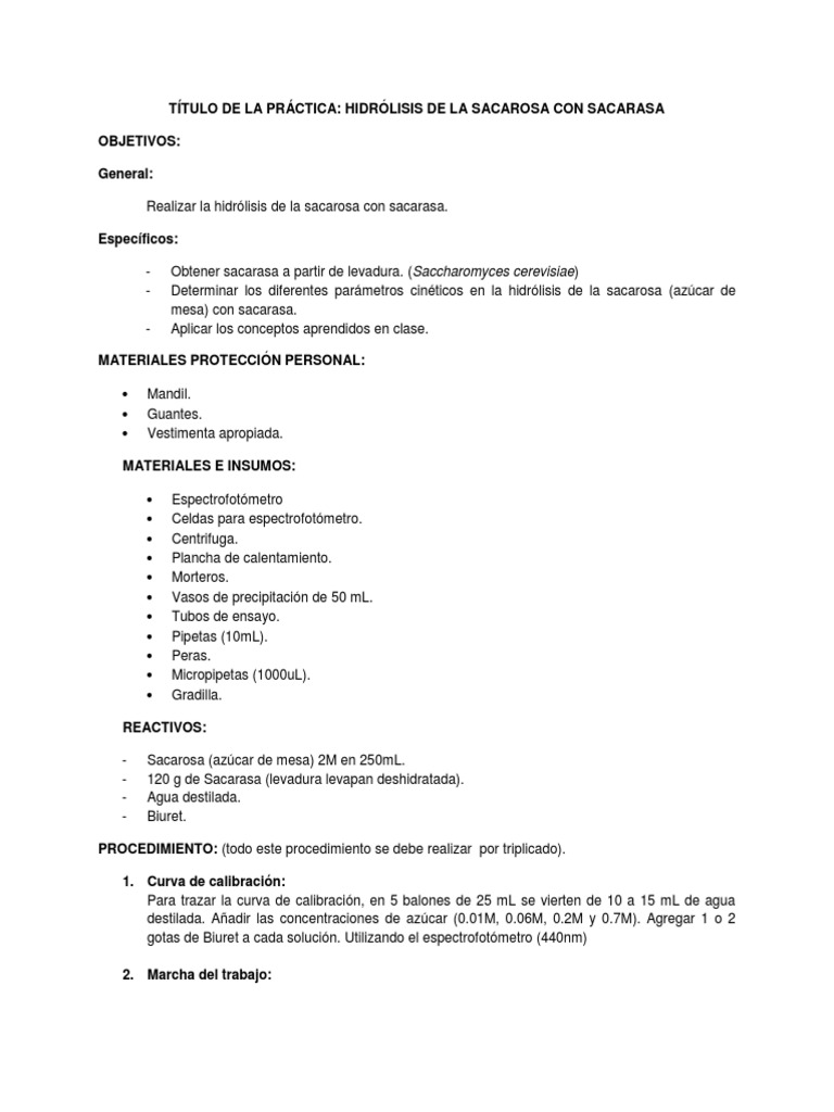 Hidrólisis de La Sacarosa Con Sacarasa | PDF