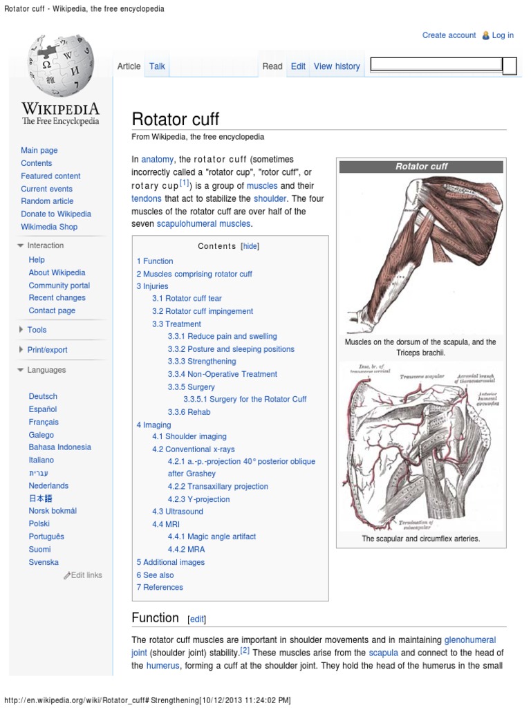 Rotator Cuff | PDF | Shoulder | Joints