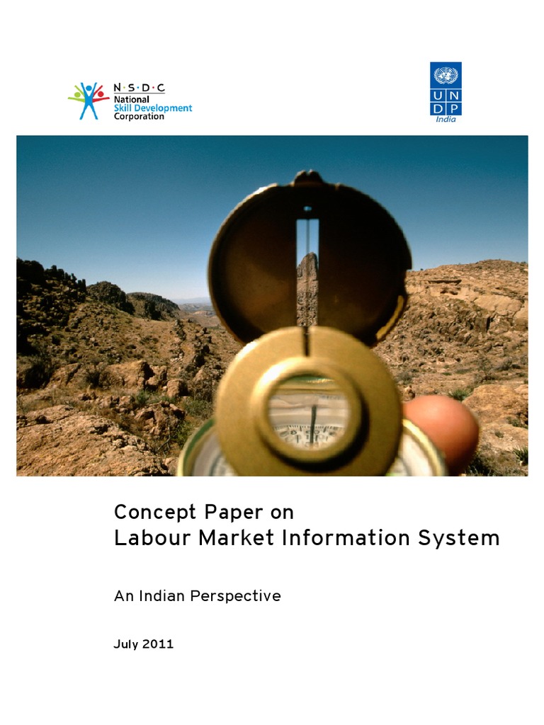 Concept Paper Labour Market Info | PDF | Unemployment | Social Science