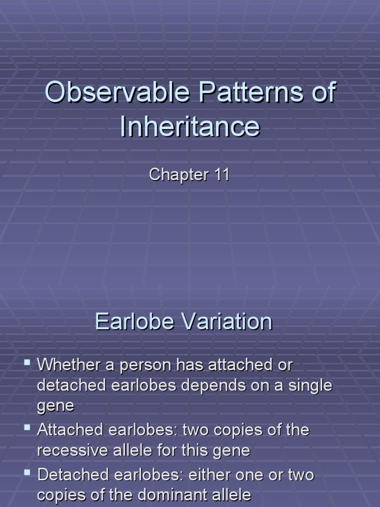 Ch11 Lecture Observable Patterns Of Inheritance Pdf Dominance Genetics Zygosity