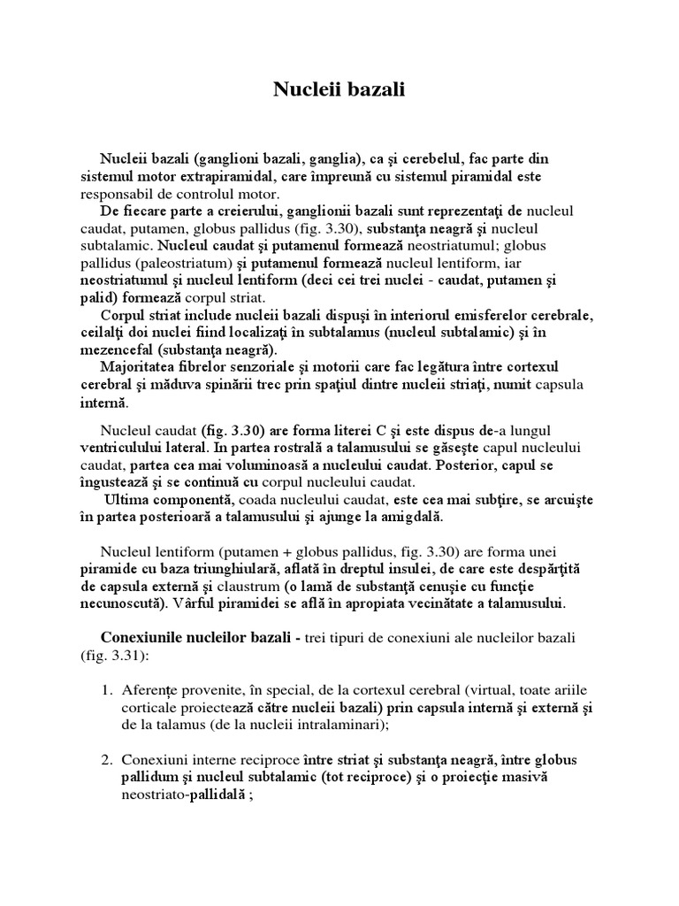 Nucleii Bazali | PDF