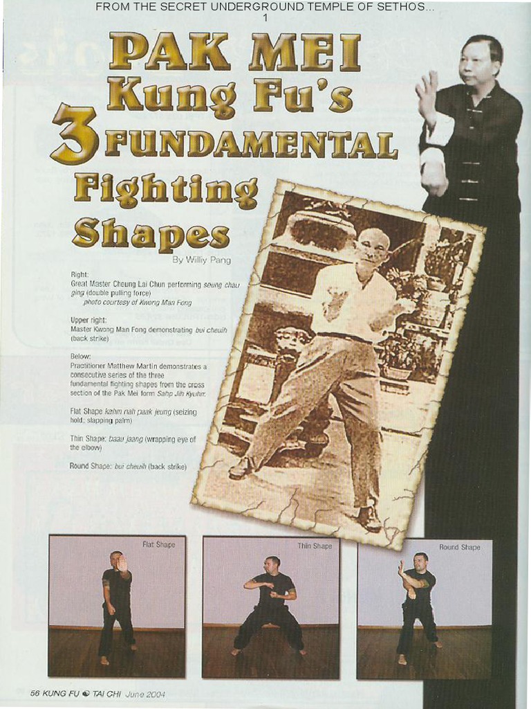 8 3 Fighting Shapes of Pak Mei | PDF