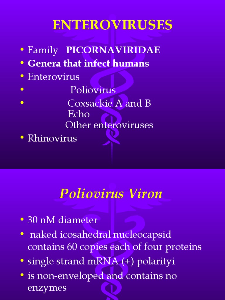 Microbiology Lecture 20 Enterovirus And Hepatitis Pdf Virus Hepatitis