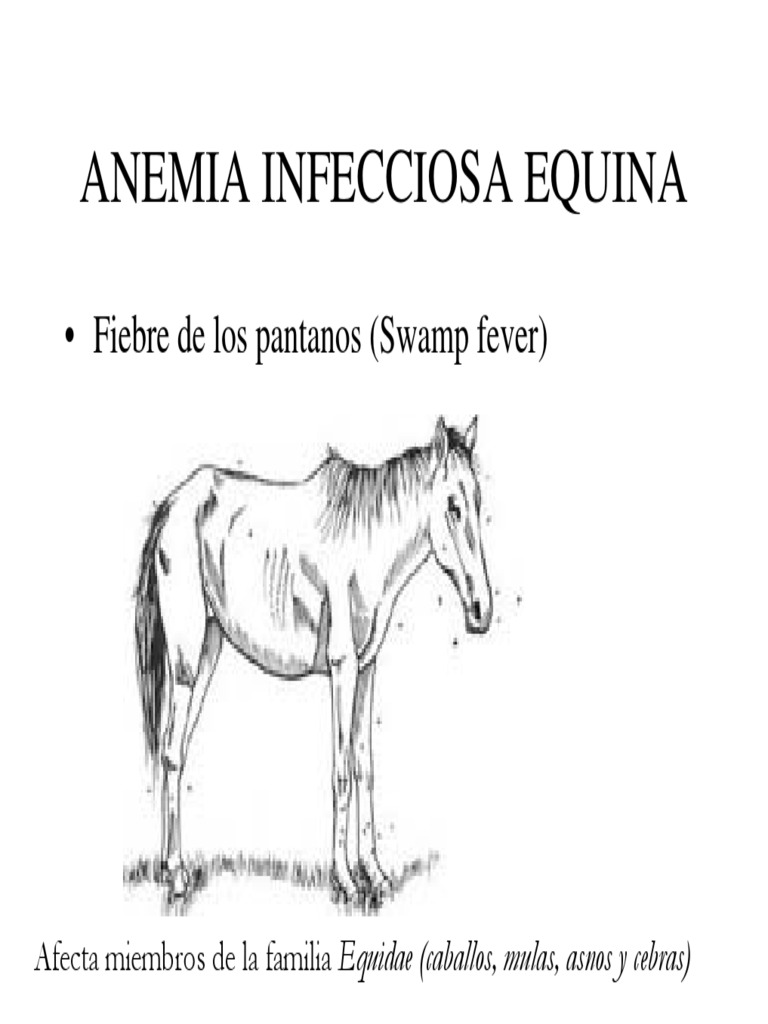 Anemia Infecciosa Equina: Diagnóstico y Síntomas | PDF