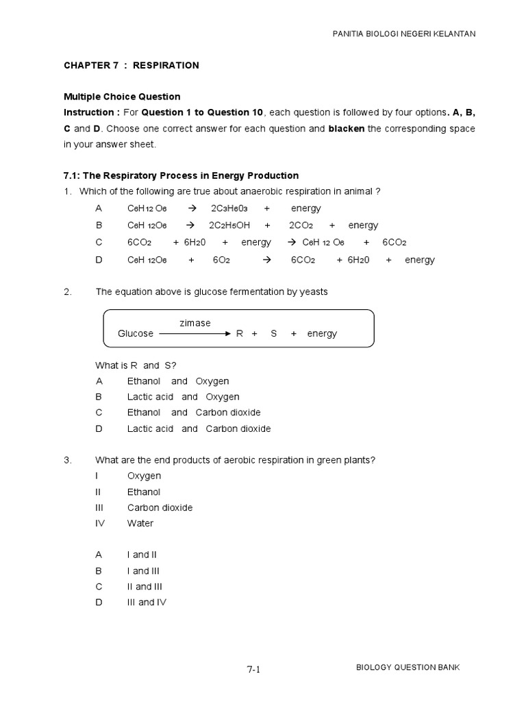 CH 7 Respiration Student | PDF | Cellular Respiration | Respiration