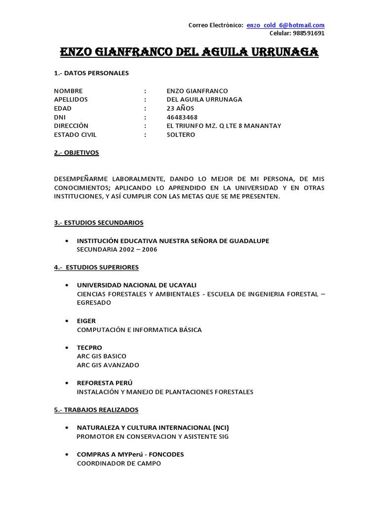 Curriculum Vitae Enzo | PDF