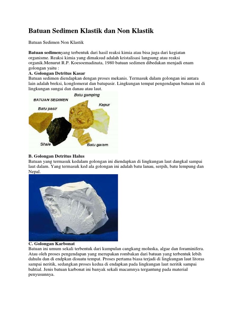 Batuan Sedimen Klastik Dan Non | PDF