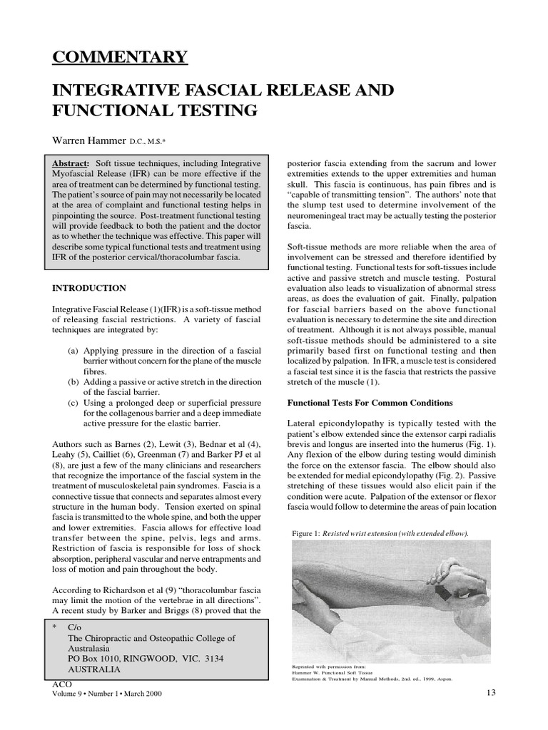 MFR Functional Testing | PDF | Vertebral Column | Elbow