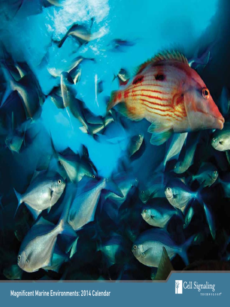 2014 CST Calendar | PDF | Sustainability | Biology