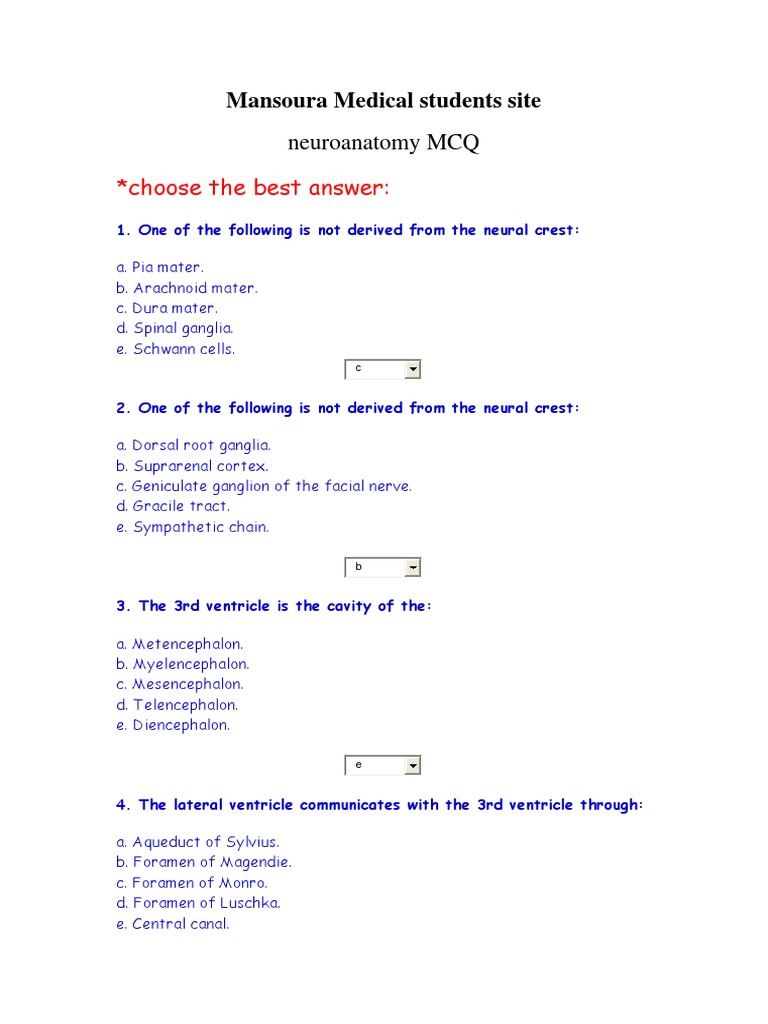 Neuroanatomy MCQ | PDF | Spinal Cord | Cerebellum