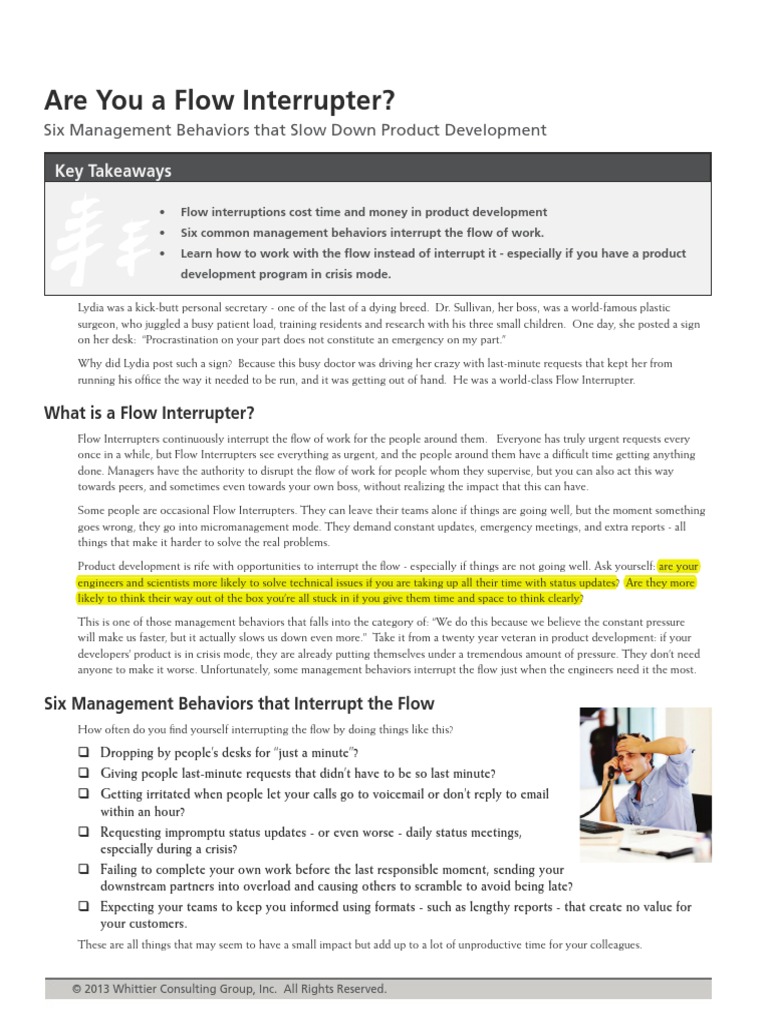 Flow Interrupter | PDF | Lean Manufacturing | Science And Technology