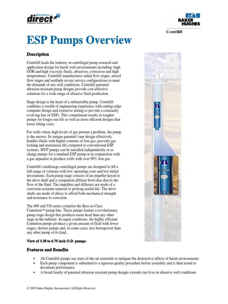 ESP Overview | PDF | Pump | Chemical Engineering