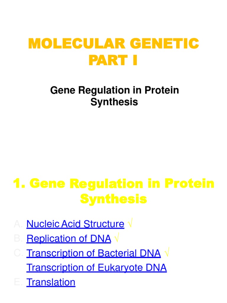 (164446829) Molecular Genetic | PDF | Dna Replication | Translation ...