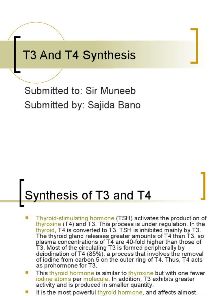 T3 and T4 Hormone Synthesis Overview | PDF