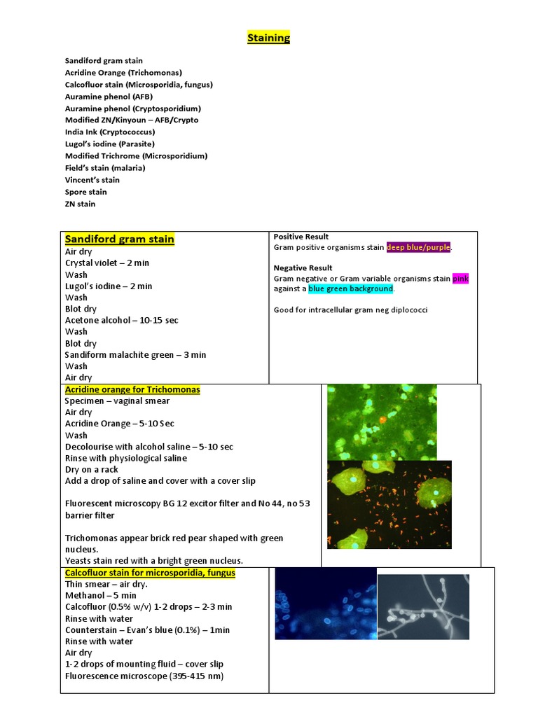 Staining Document | PDF | Staining | Microscopy